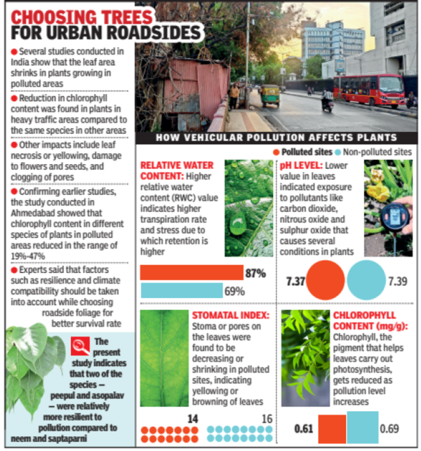 Plants Show Signs Of Exhaust-ion | Ahmedabad News - Times of India