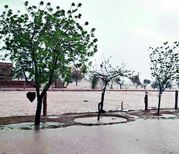 Massive sandstorm hits Israel’s neighbour Jordan, kicks up thick cloud ...