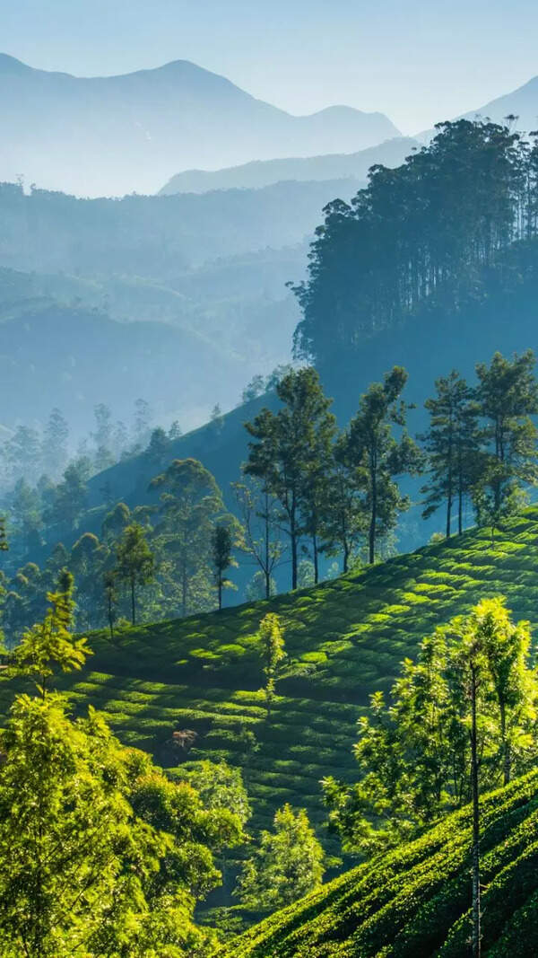 Jayasurya’s ‘Kathanar: The Wild Sorcerer’ completes its first schedule ...