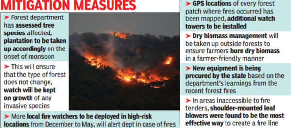 Forest fires in Goa could have been caused by humans, says dept report ...