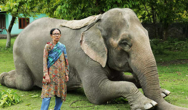 Indranil Sarkar’s documentary on an elephant and its mahout defies the ...