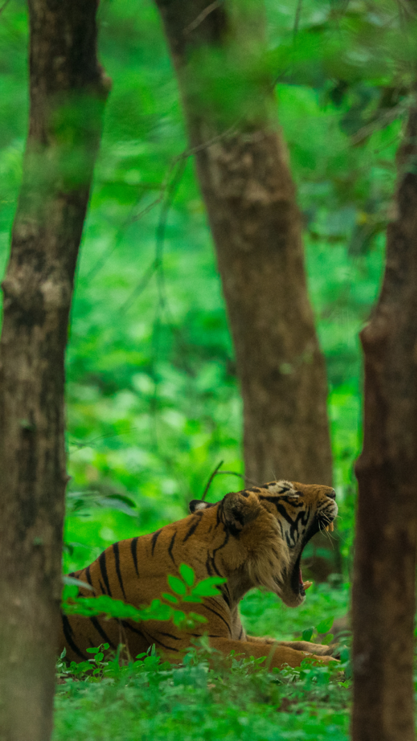 Jayaram reveals stylish salt and pepper look on the set of ‘Abraham ...