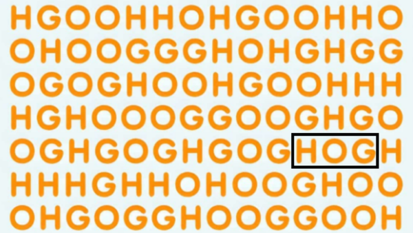 Challenge: Hunt for the word 'HOG'; you only have 7 SECONDS! - Times of ...