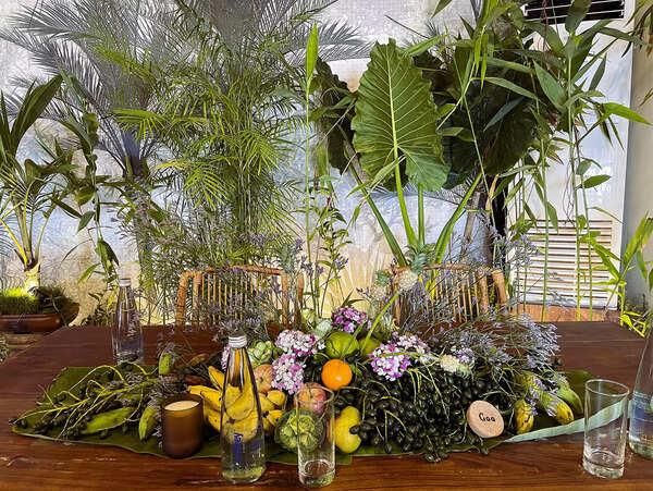 Goa's biodiversity, rainforests showcased to G20 delegates at Aguad ...