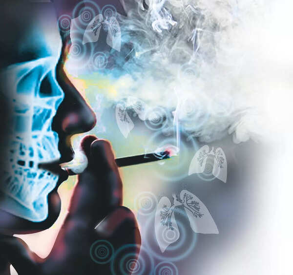 Anti-narcotics Task Force Seizes Drugs Worth ₹30cr In 6 Months ...