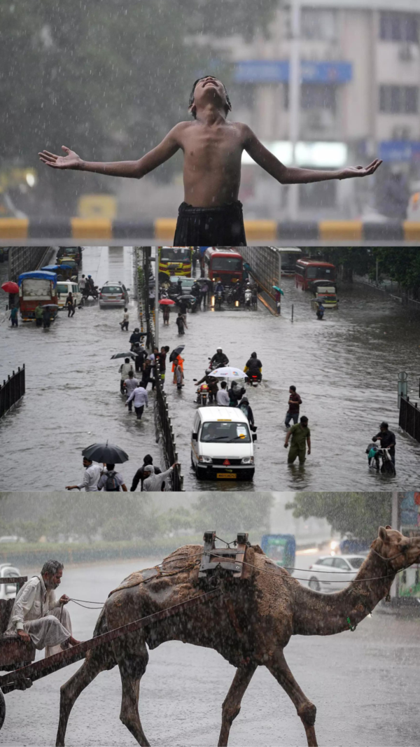 India Web Stories | India Visual Stories | Times of India