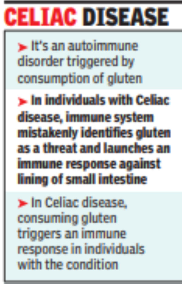 Pune researchers 'identify' two bacteria for gluten disorder cure ...