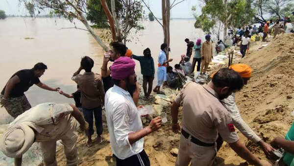 In Punjab's Tarn Taran district, villagers come forward to lend helping ...