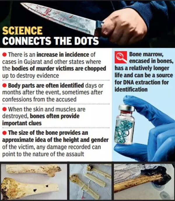 Dfs Pieces Together Clues To Crack Assam Double-murder | Ahmedabad News ...