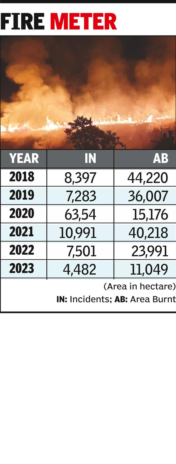 Drop In Forest Fires; Facts Concealed, Say Greens | Nagpur News - Times ...