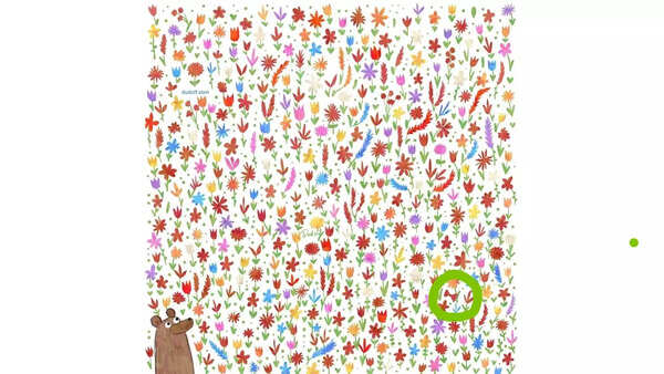 Puzzle: Can you help this bear find the bowtie? - Times of India ...