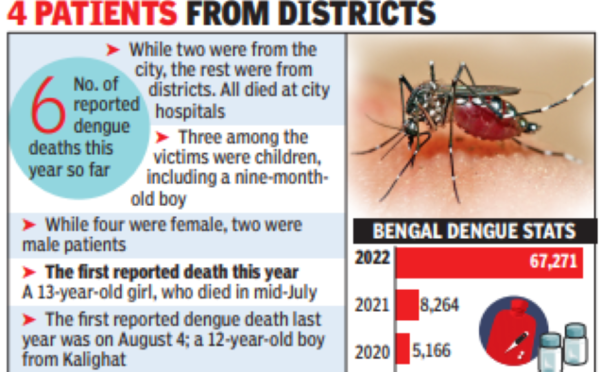 Five more dengue deaths reported from Kolkata hospitals; beginning of ...