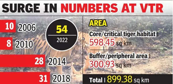 VTR records 75% rise in tiger count in last 4 years | Patna News ...
