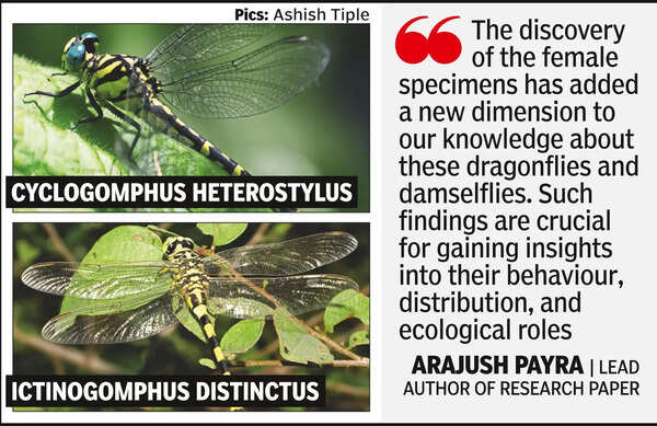 Researchers Unveil: In A First, Researchers Unveil Females Of 2 ...