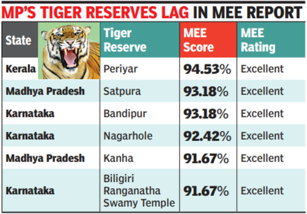 Tiger: Mp Is Lord Of Tiger Jungle, Retains Crown For 2nd Year | Bhopal ...