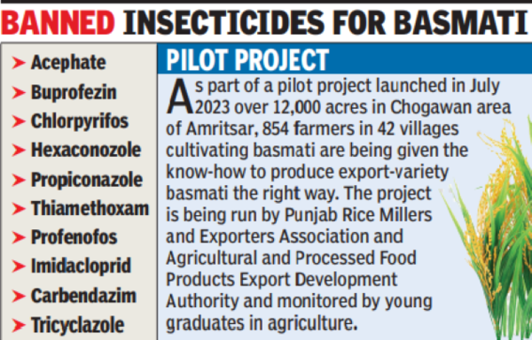 Sediment: Amid Fears Of Pesticide Residue In Basmati, Push For Right Farming | Chandigarh News ...