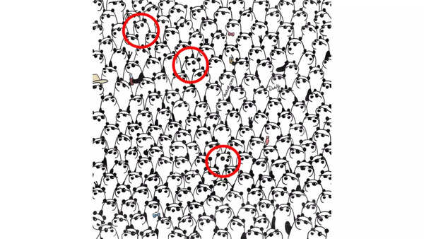 Optical Illusion: Only those with sharp observation skills can find the ...