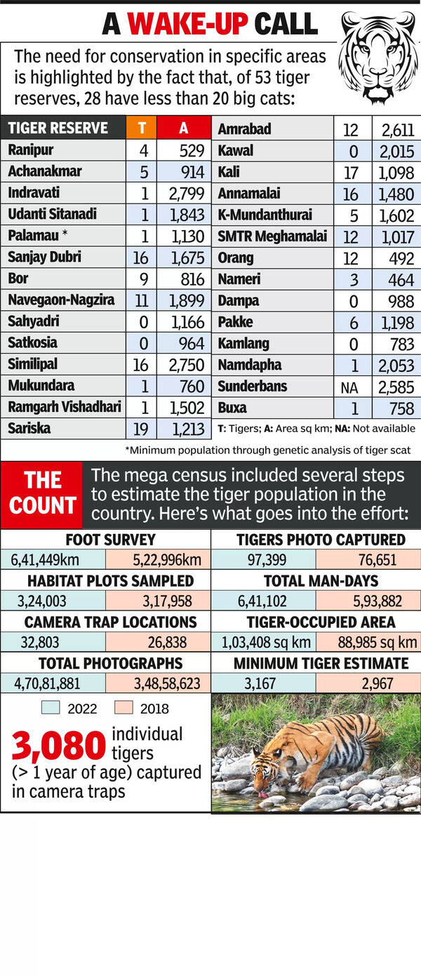 Wake Up Call Census A Wake Up Call For 28 Tiger Reserves Nagpur News