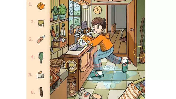 Optical illusion: Find the six hidden objects in under 30 seconds ...