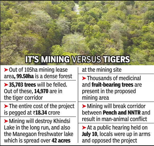 Shanti GD Ispat: Loi Lapsed, Still Guguldoh Mining Project Kept Alive ...