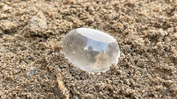 Snake figurine, crystal stone found in Keeladi | Chennai News - Times ...