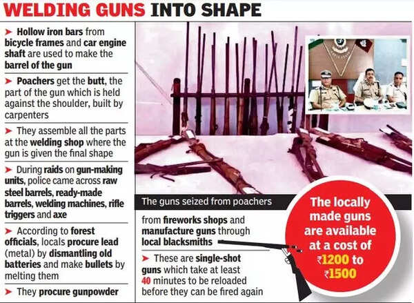 165 guns seized in drive against illegal arms in STR | Bhubaneswar News ...