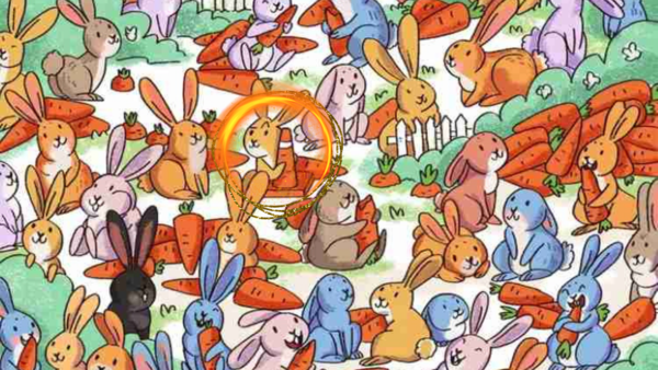 Optical illusion: Can you find the hidden hazard cone among rabbits ...