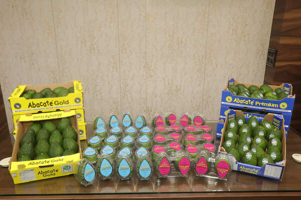 Abacate International: Elevating the Avocado revolution in India with ...