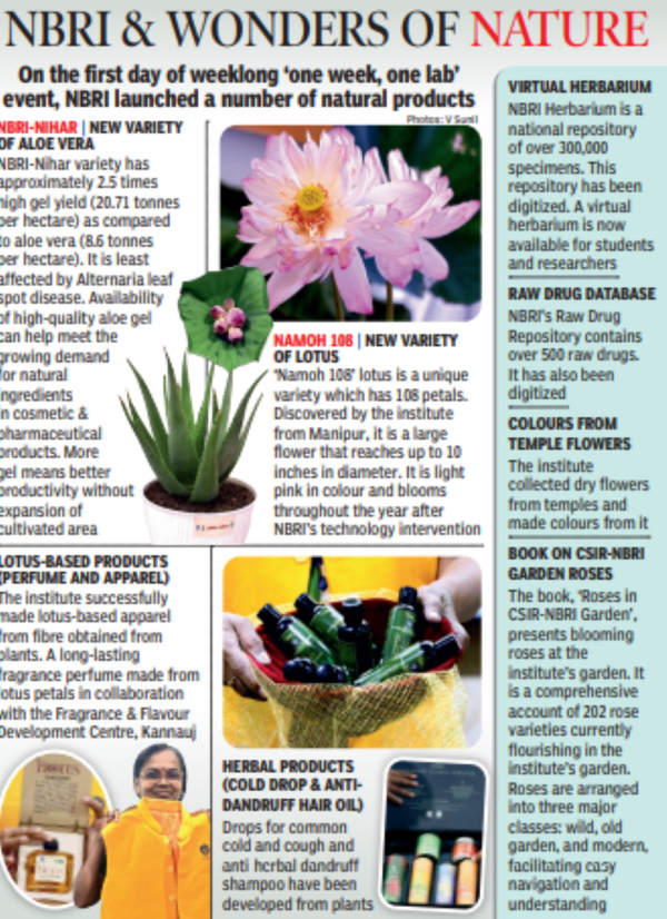 NBRI launches lotus variety which blooms in all seasons | Lucknow News ...