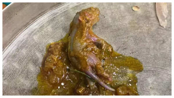 Dead rat found in chicken dish at Bandra eatery