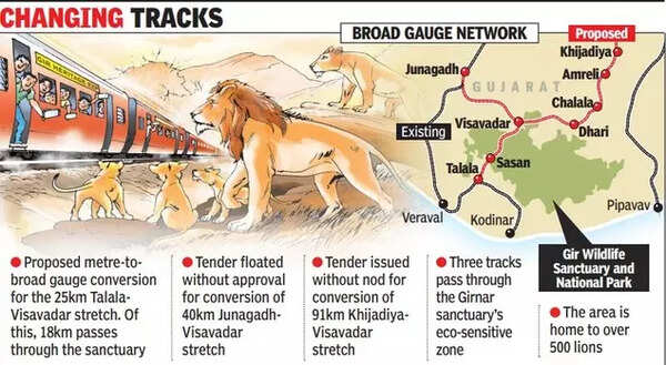 Line Through Gir To Be Converted To Broad Gauge | Ahmedabad News ...