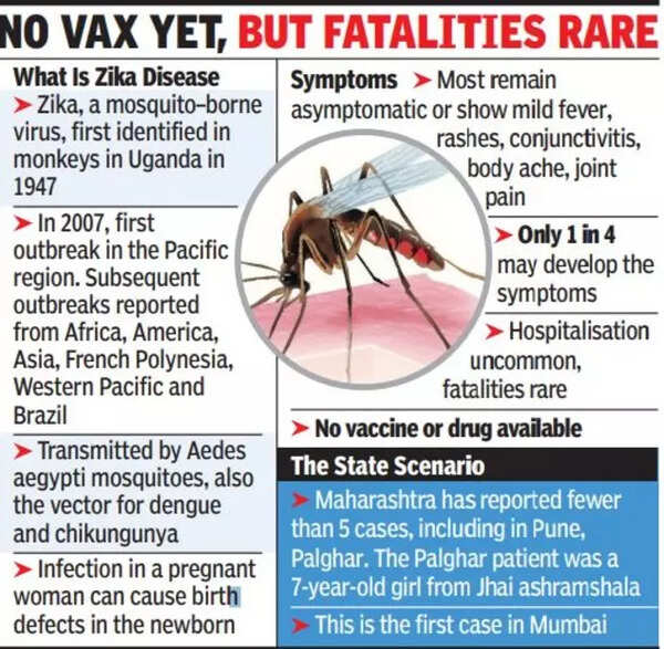 79-year-old Mumbai's first Zika patient, recovered fully | Mumbai News ...