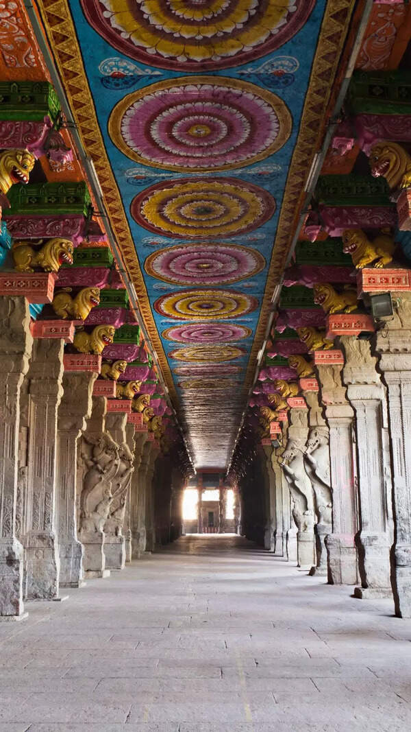 Education Web Stories | Education Visual Stories | Times of India