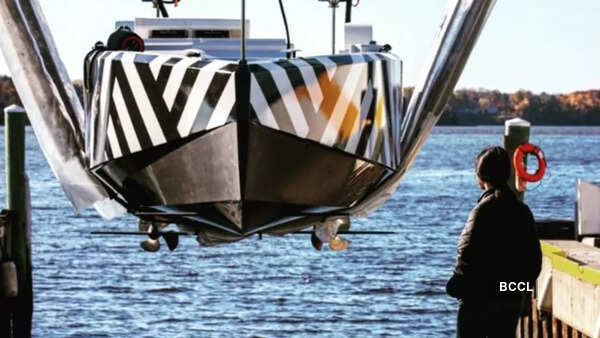 Meet Sampriti Bhattacharyya, who failed in Physics but built a flying ...