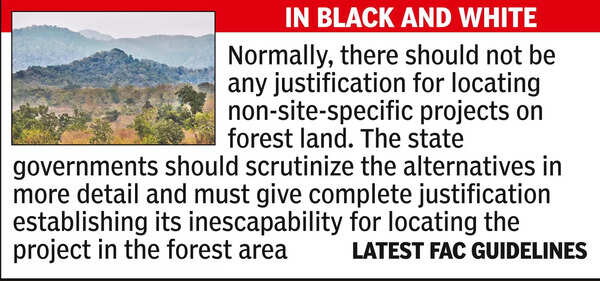 Forest Land: No Non-site-specific Activities On Forest Lands, Says ...