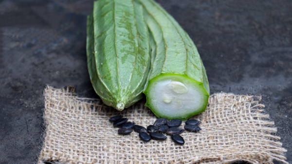 This is why Turai must be included in daily diet - The Times of India