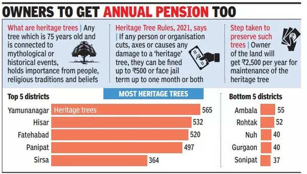 Haryana: 4k Trees In Hry To Get ‘heritage’ Tag | Gurgaon News - Times ...