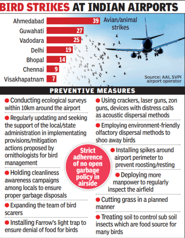 SVPI sees 38 bird strikes, 1 animal incursion in a year | Ahmedabad ...