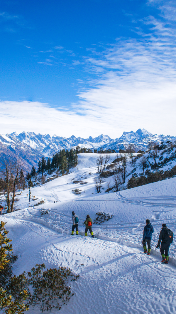 Homemade Chaat Masala: The easiest way to make Chaat Masala at home ...