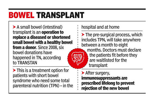Small Bowel Transplant: Rare Small Bowel Transplant Helps 9-year-old ...