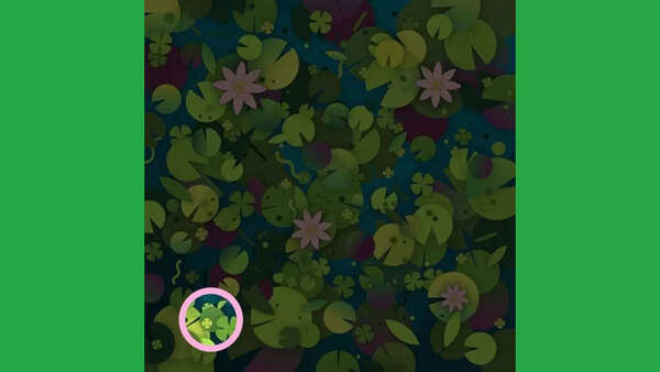 Optical illusion: Can you find the turtle? Only those with good vision ...