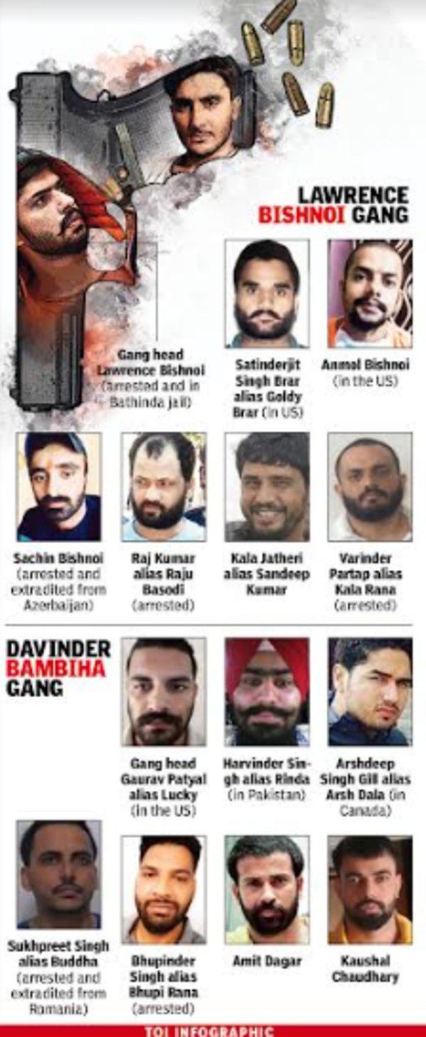Lawrence Bishnoi vs Davinder Bambiha: Terror nexus, 2 gangs and a ...