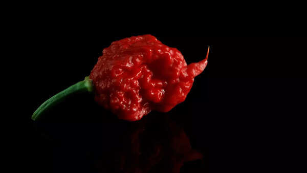 Canadian man sets a new Guinness World Record for eating Carolina ...