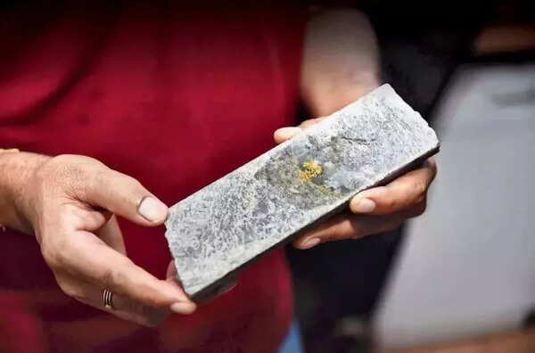 Ashoka's gold mine set for comeback next year | India News - Times of India