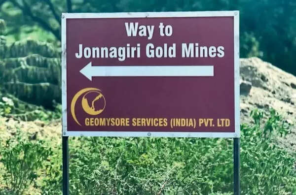 Ashoka's gold mine set for comeback next year | India News - Times of India