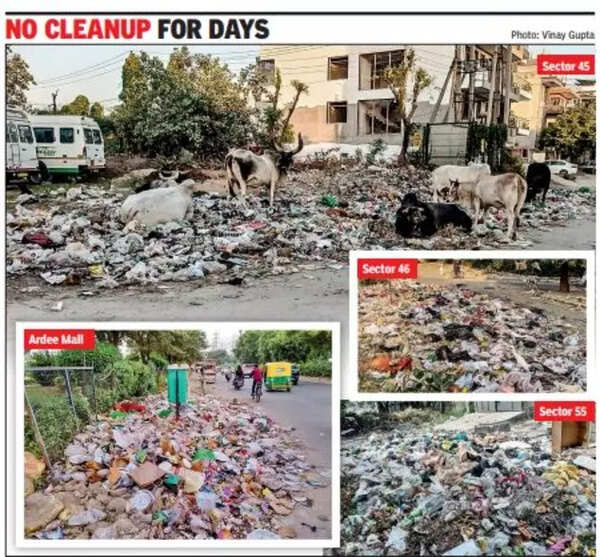 Sanitation: No One To Lift, Garbage Mounds Line Roads, Mcg Faces Fire ...