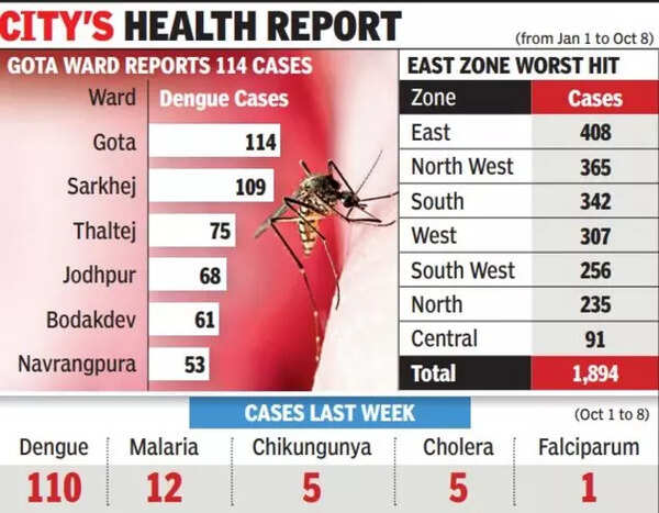 Dengue kills 26-year-old in Ahmedabad, is second victim in three days | Ahmedabad News - Times ...