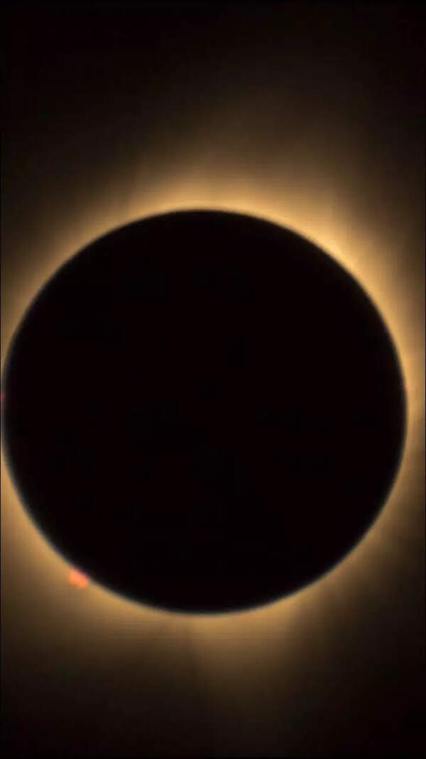 Hijra Farsi: Secret language knits community | India News - Times of India