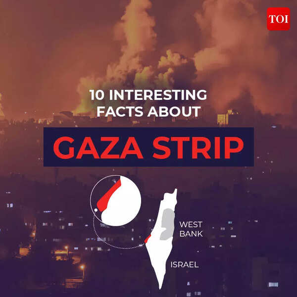 Infographic: 10 interesting facts about Gaza Strip - Times of India