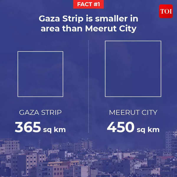Infographic: 10 interesting facts about Gaza Strip - Times of India